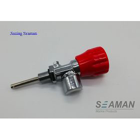 SCBA Gas Cylinder Valve